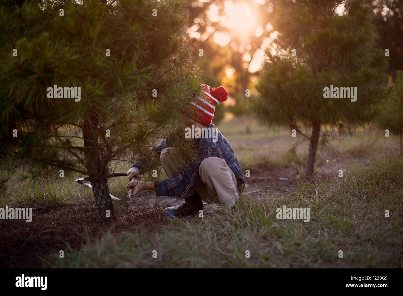 Boy cutting his hand hi-res stock photography and images - Alamy