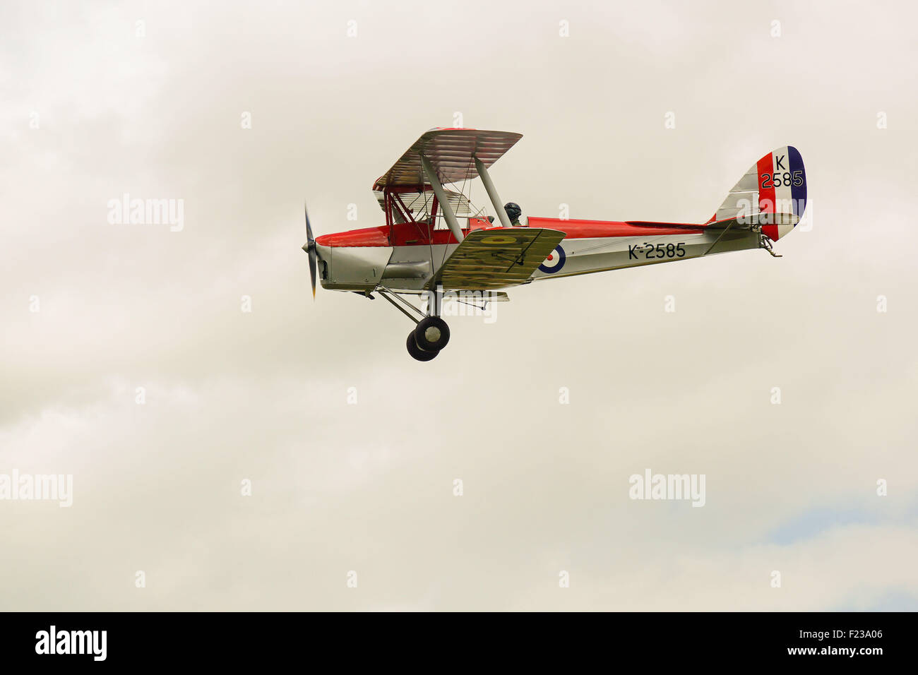 De Haviland Tiger Moth RAF basic trainer in the air Stock Photo - Alamy