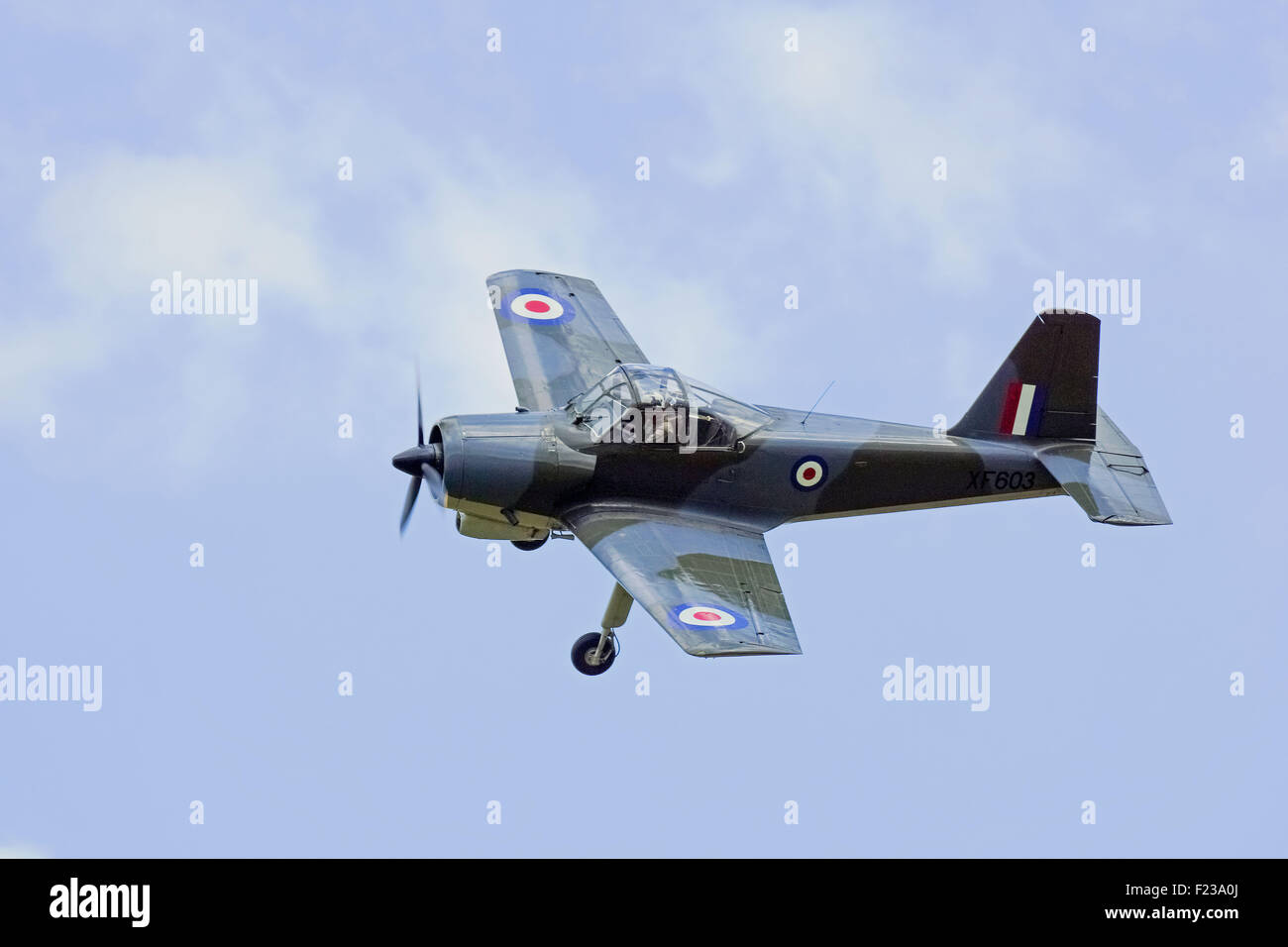Percival Provost in flight Stock Photo - Alamy