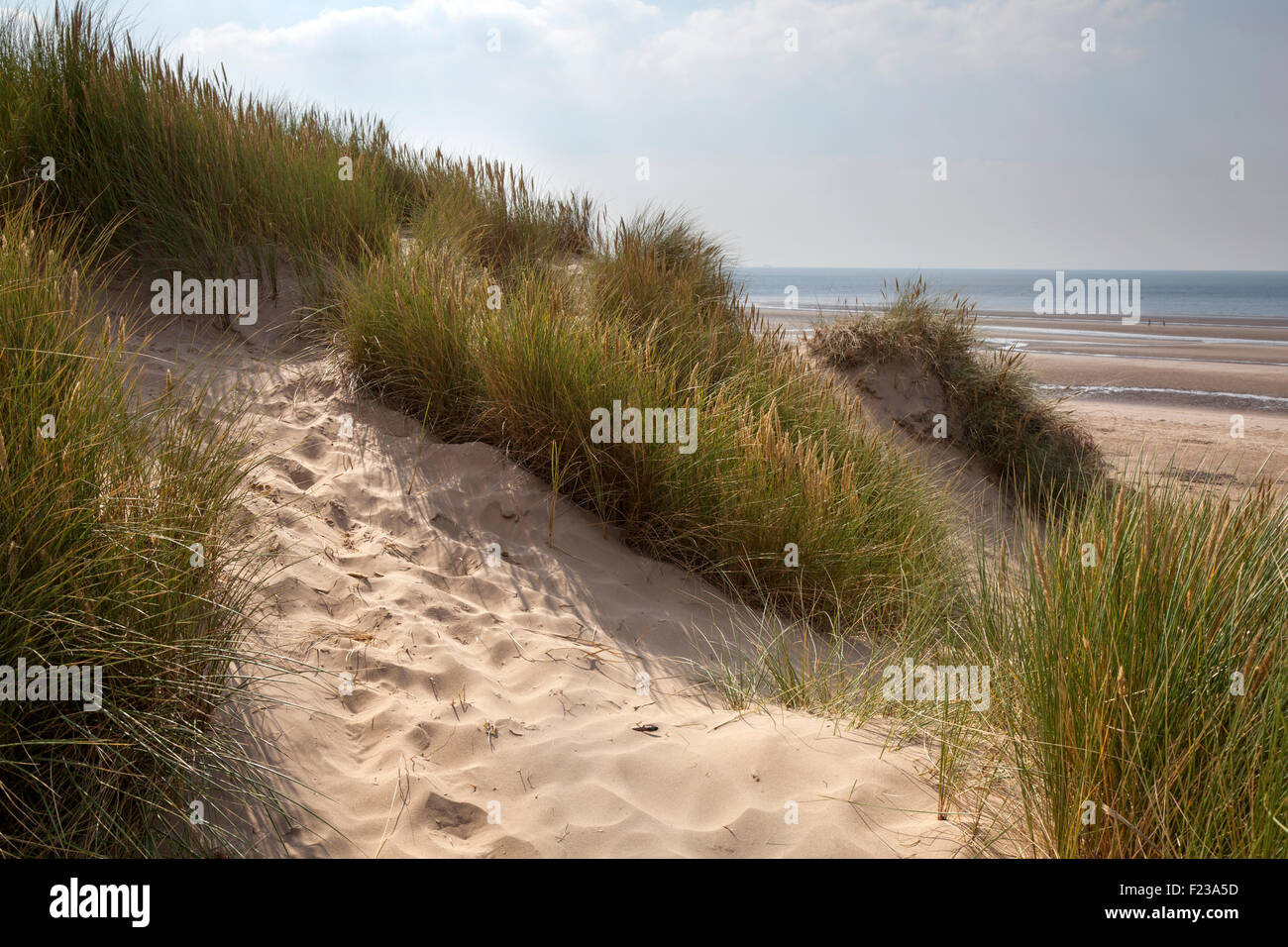 Eroded sand dune at Southport; nature, beach, sky, sea, summer, blue ...