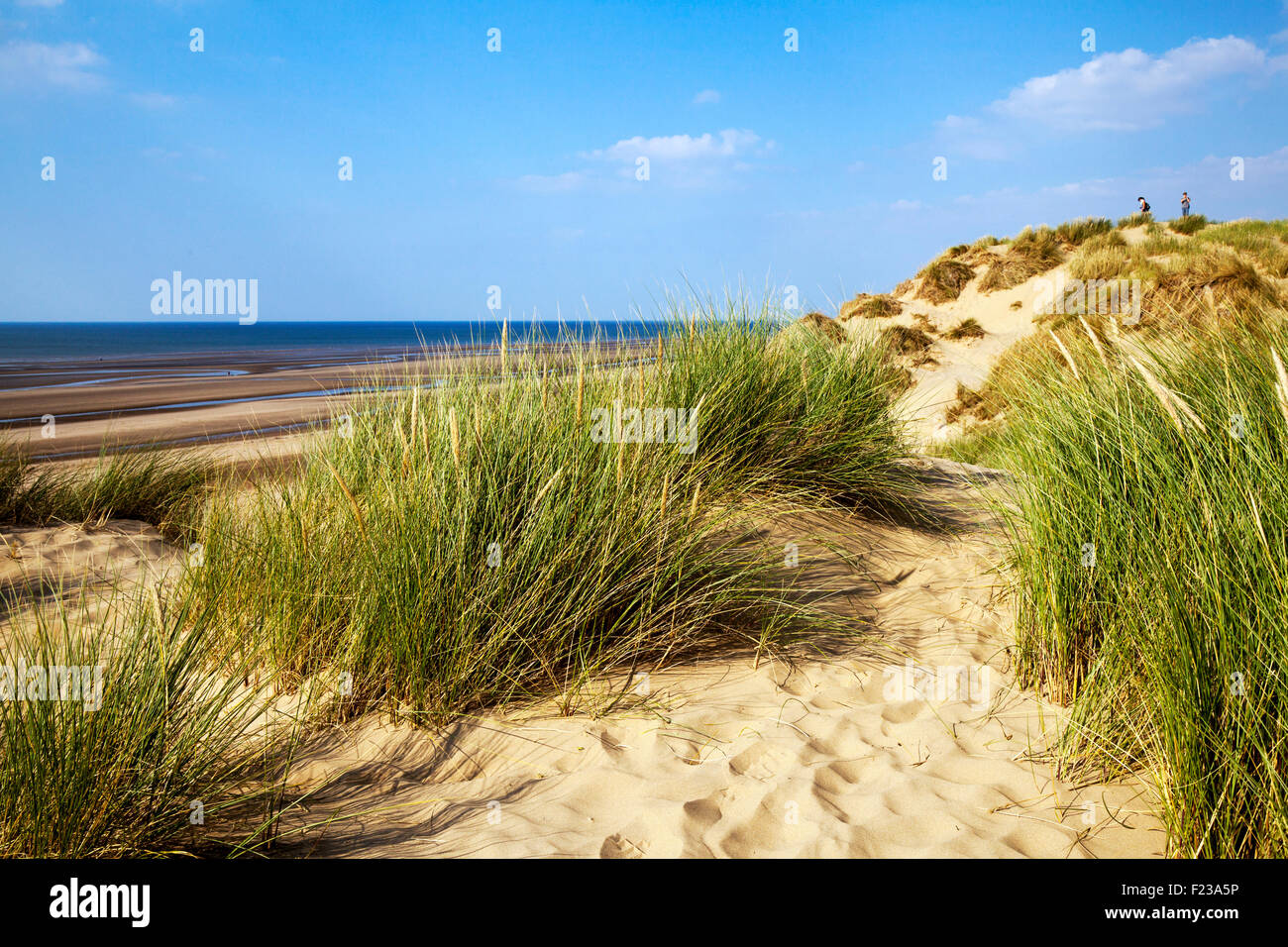 Eroded sand dune at Southport; nature, beach, sky, sea, summer, blue ...