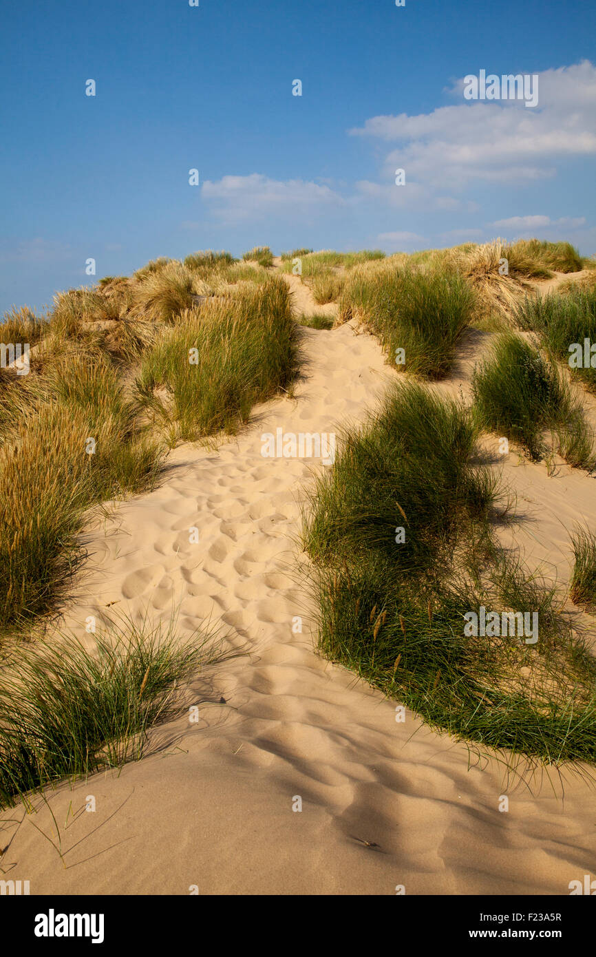 Eroded sand dune at Southport; nature, beach, sky, sea, summer, blue ...