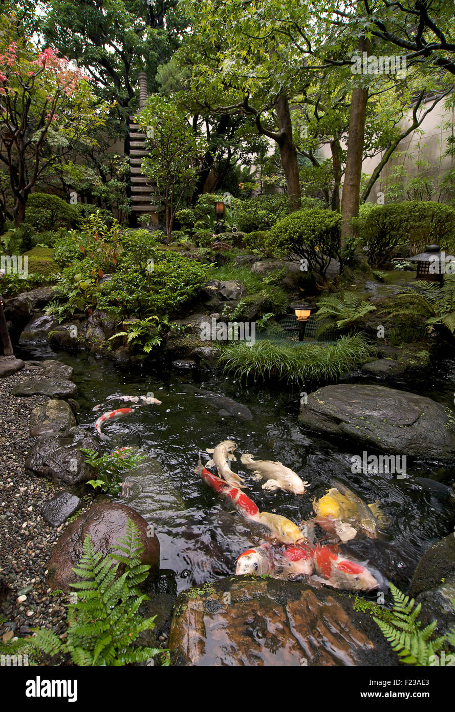 Yoshikawa ryokan. Traditional Japanese style guest house. Kyoto, Japan ...