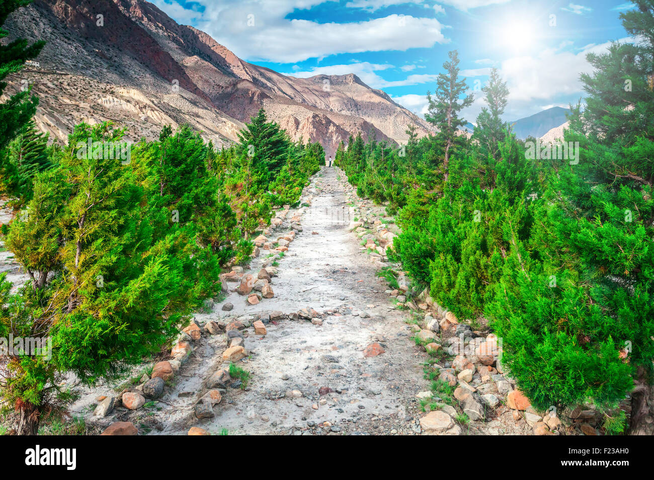 summer landscape in Nepal mountains Stock Photo - Alamy