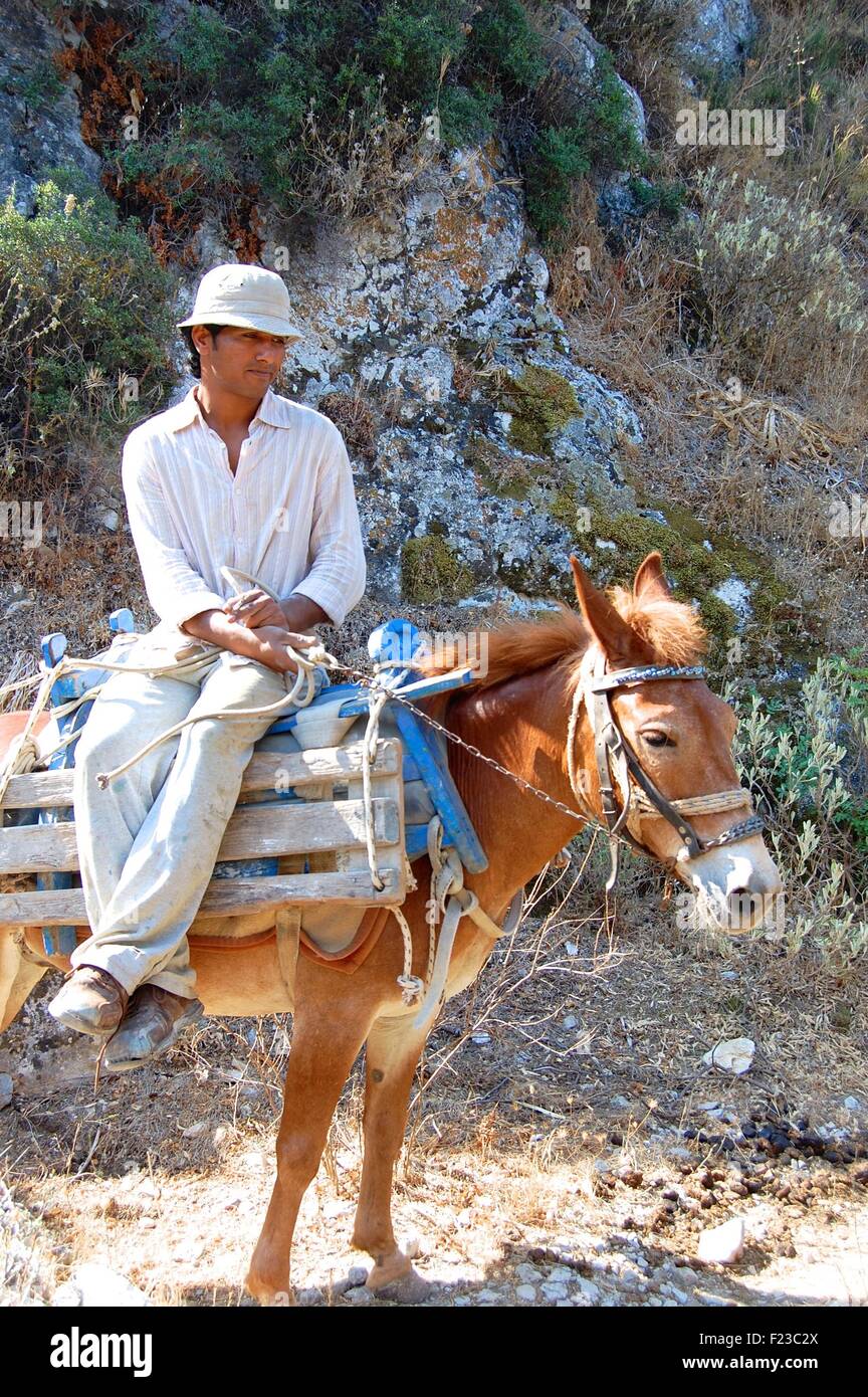 Local Man Riding A Donkey High Resolution Stock Photography and Images ...