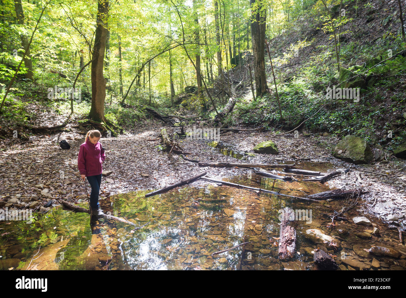 Girl standing on log in creek at Hemlock Cliffs trail, Hoosier National ...