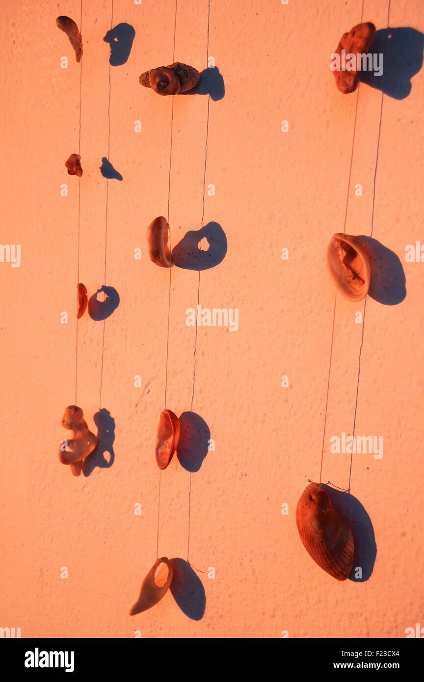 Hanging shells hi-res stock photography and images - Alamy