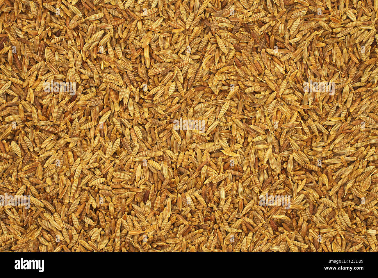 Brown cumin hi-res stock photography and images - Alamy