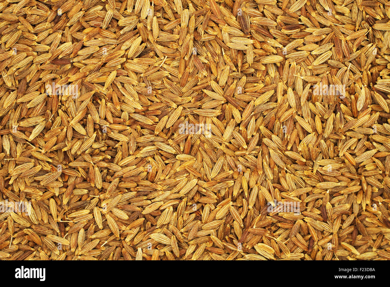 Cumin seeds background Stock Photo - Alamy