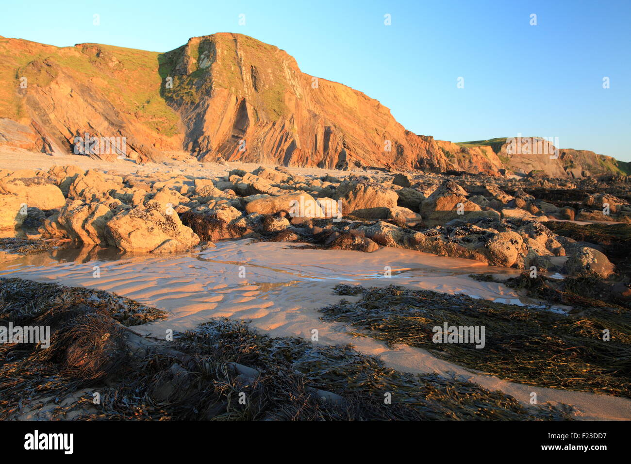Sandymouth bay, North Cornwall, England, UK Stock Photo - Alamy