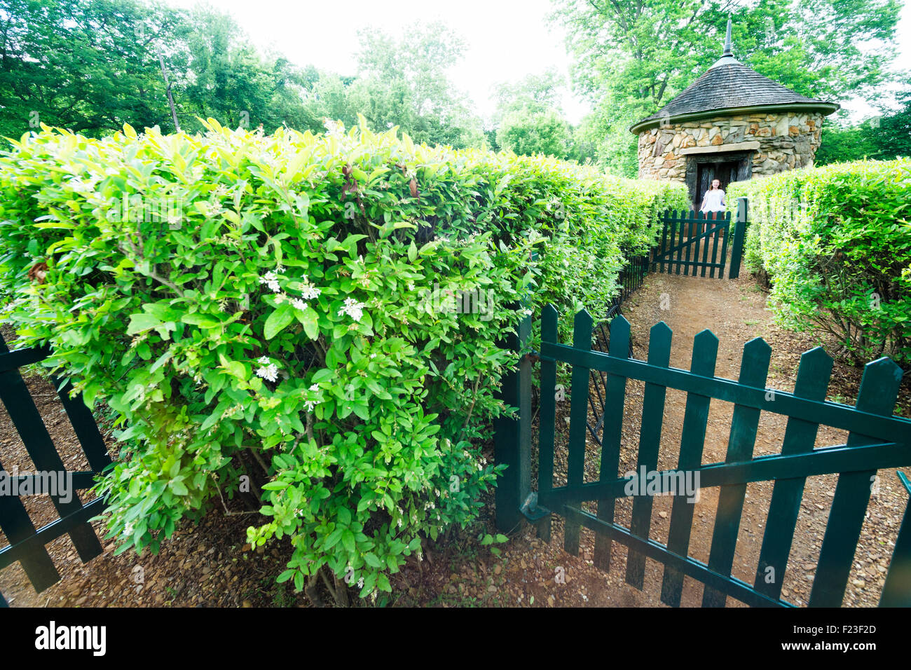 Labyrinth hedge maze, a 1939 recreation of the original planted by the ...
