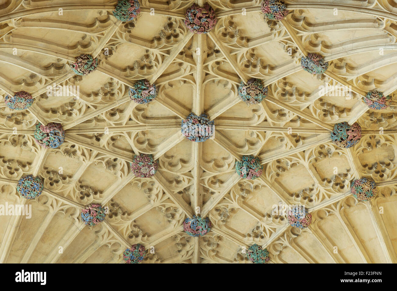 A detail of the colourful bosses of the ornate Gothic fan vaulted ...