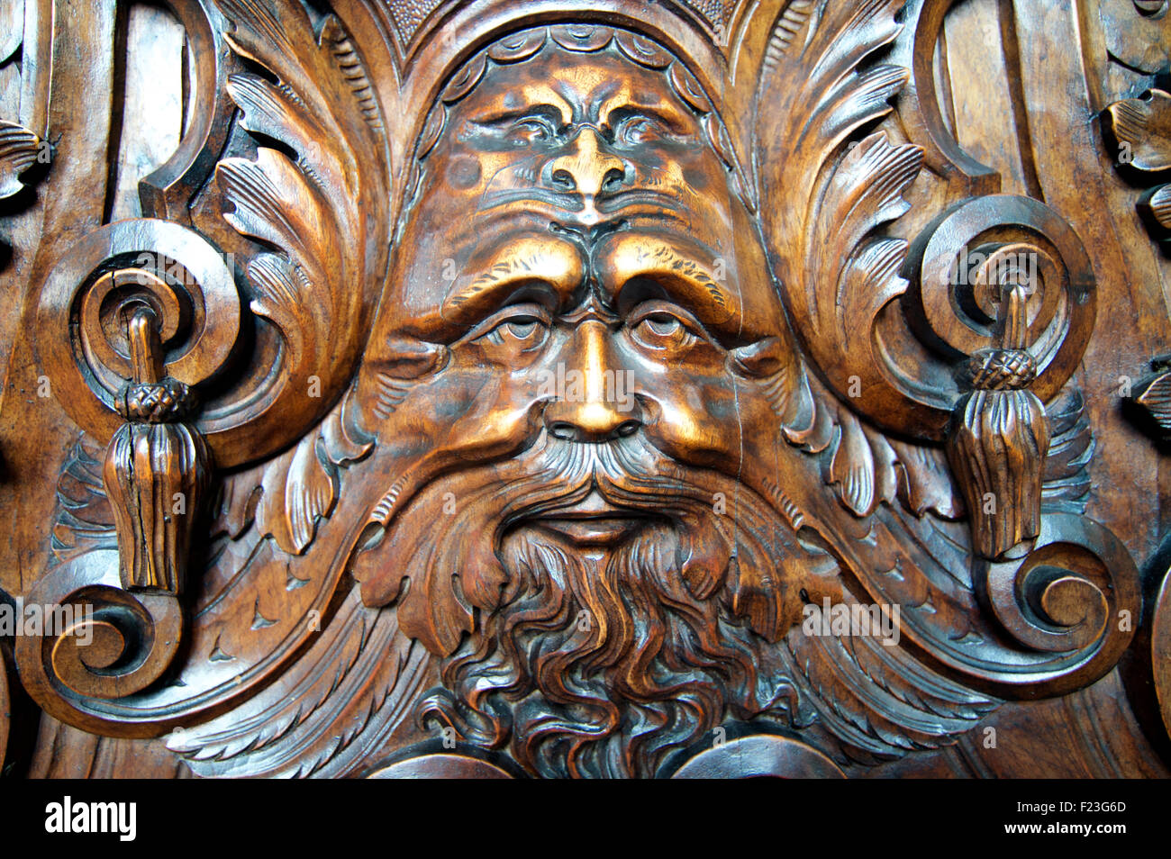 Treebeard hi-res stock photography and images - Alamy