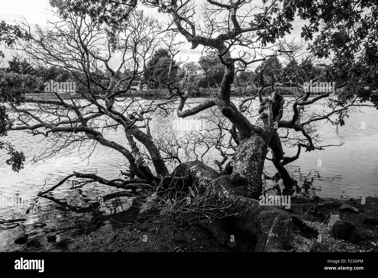Beaulieu palace house Black and White Stock Photos & Images - Alamy