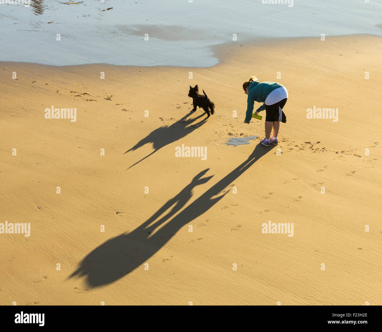 Dog wakers on beach hi-res stock photography and images - Alamy
