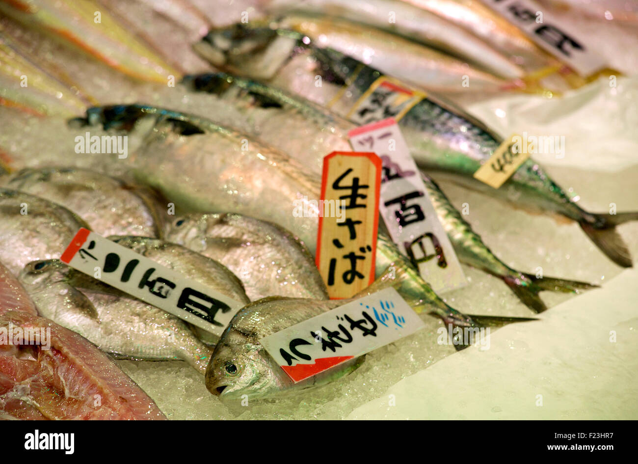 Fishmonger stall at Nishiki Food Market, Kyoto, Japan Stock Photo - Alamy
