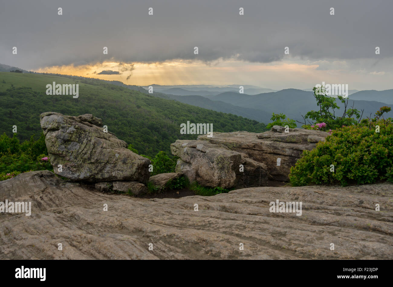 Roan mountain hi-res stock photography and images - Alamy