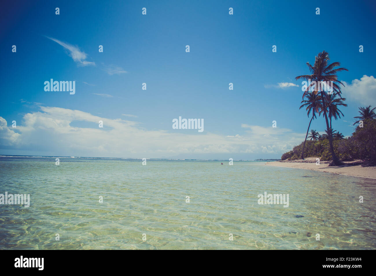 Caribbean island landscape Stock Photo - Alamy