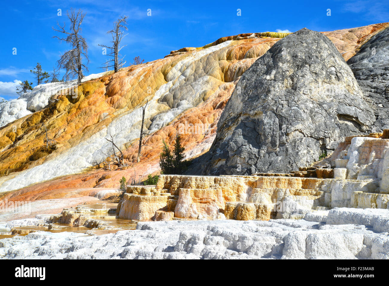 Terrace formations at Mammoth Hot Springs in northwestern Yellowstone ...