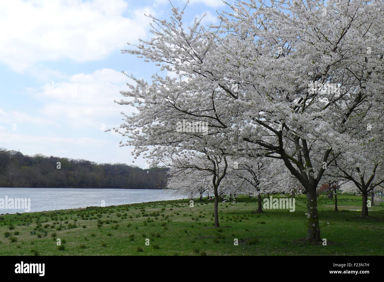 Kelly drive hi-res stock photography and images - Alamy