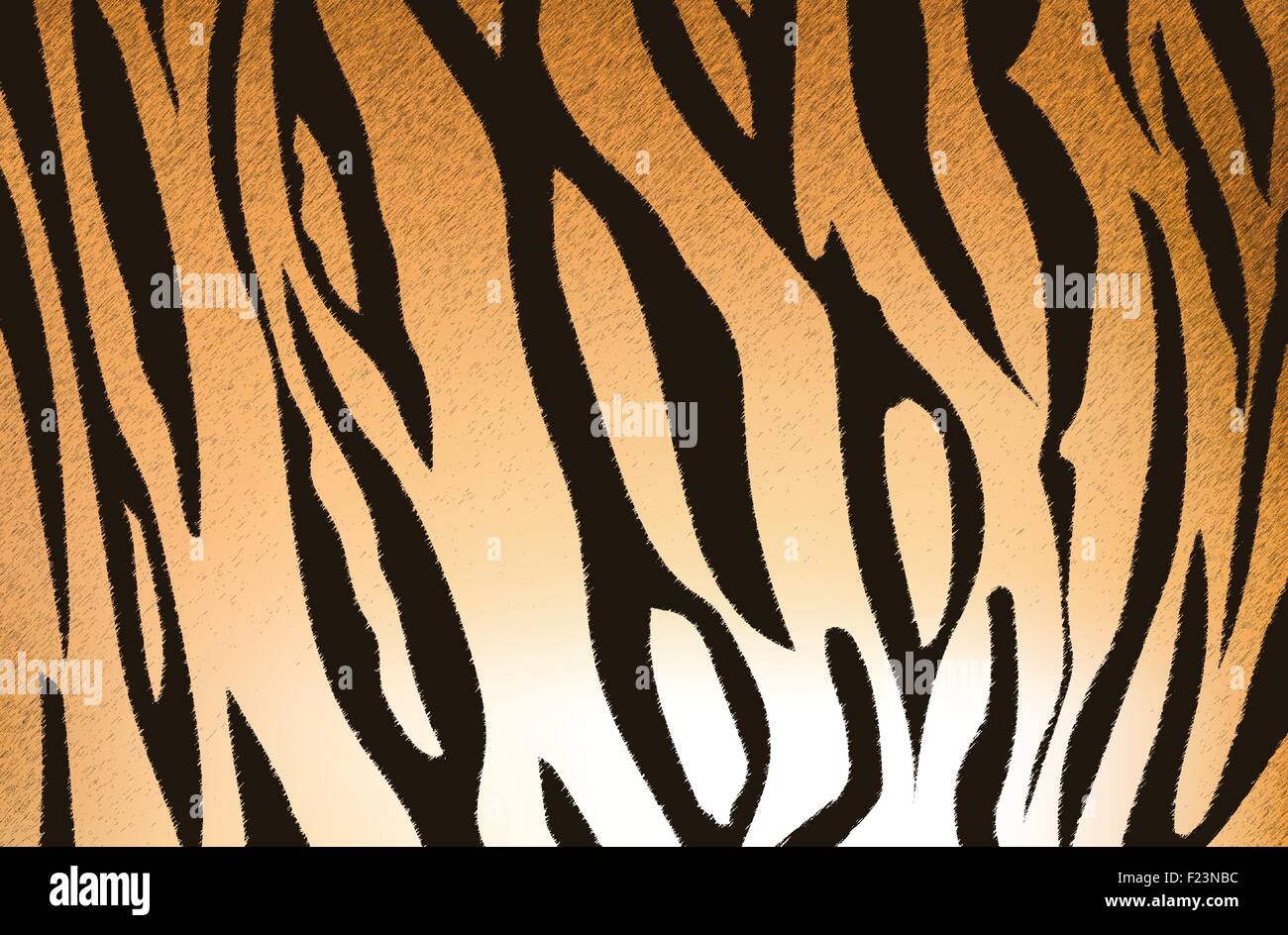 Bengal tiger illustration animal tiger bengal hi-res stock photography ...