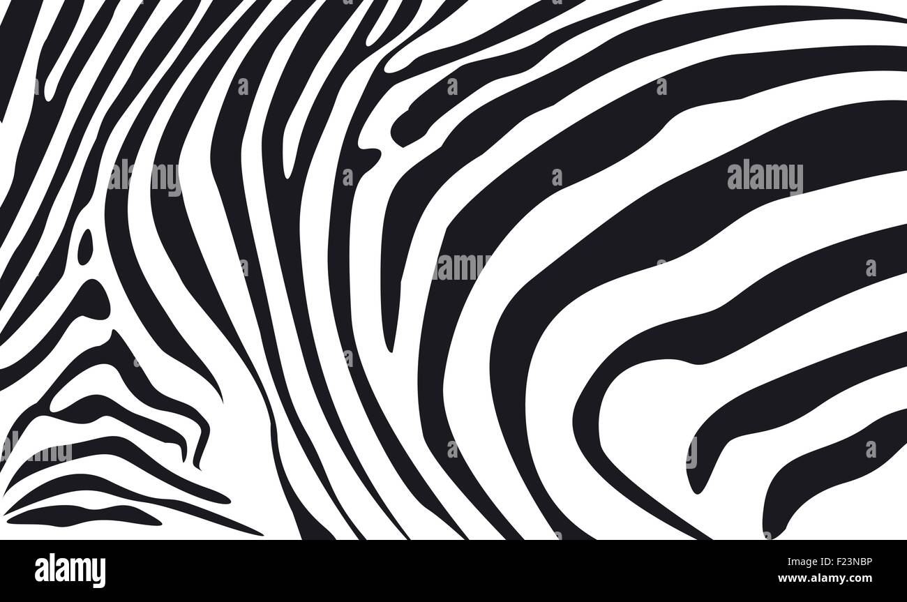 zebra skin textured background illustration Stock Vector Image & Art - Alamy