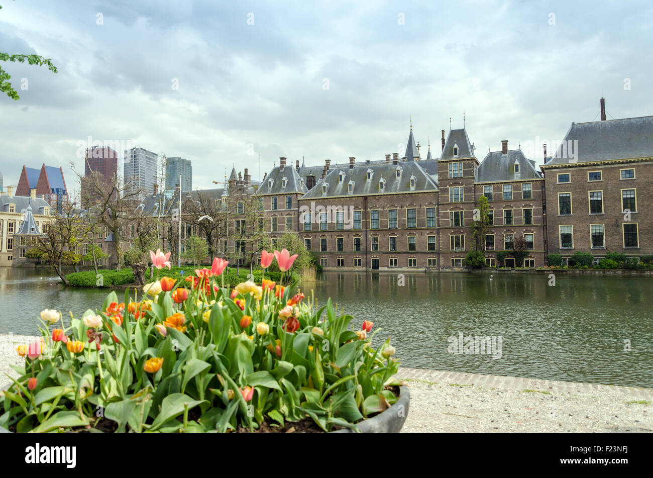 Dutch parliament buildings Binnenhof with skyscrapers in the background ...