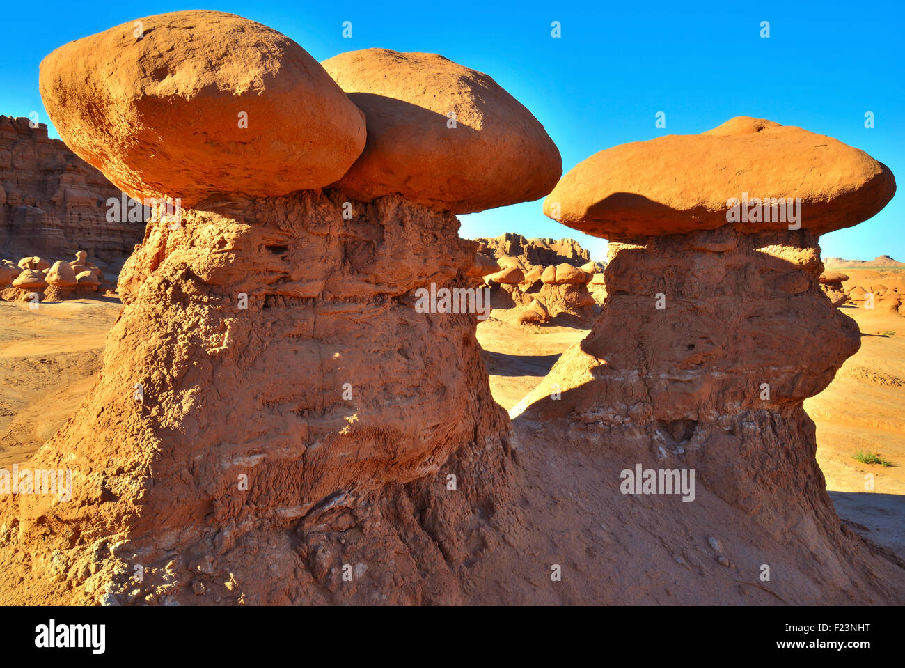 Hoodoos of all shapes and sizes in Goblin Valley State Park along the ...