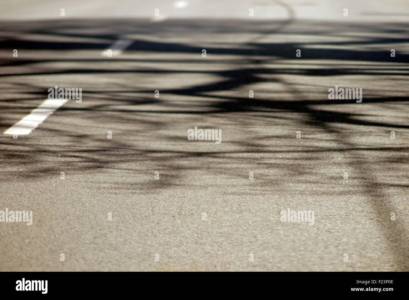 Shadow on the road Stock Photo - Alamy
