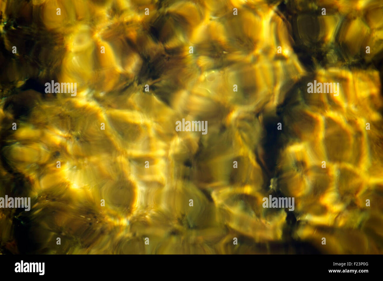 Light fluctuation hi-res stock photography and images - Alamy