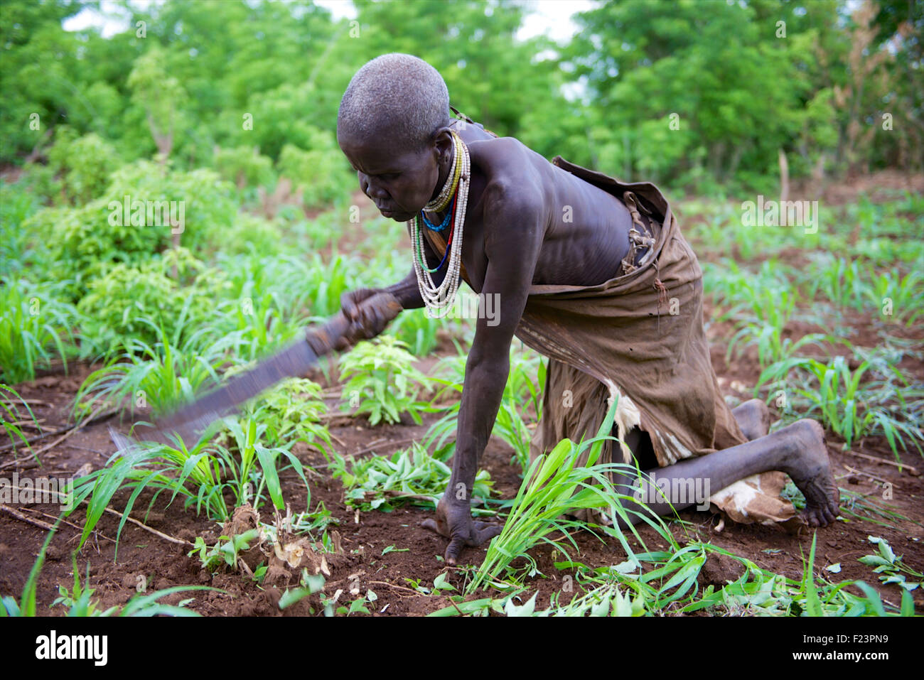River kara hi-res stock photography and images - Alamy