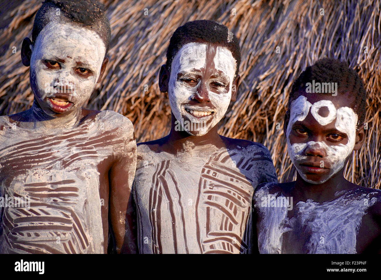 Bodi cattle hi-res stock photography and images - Alamy