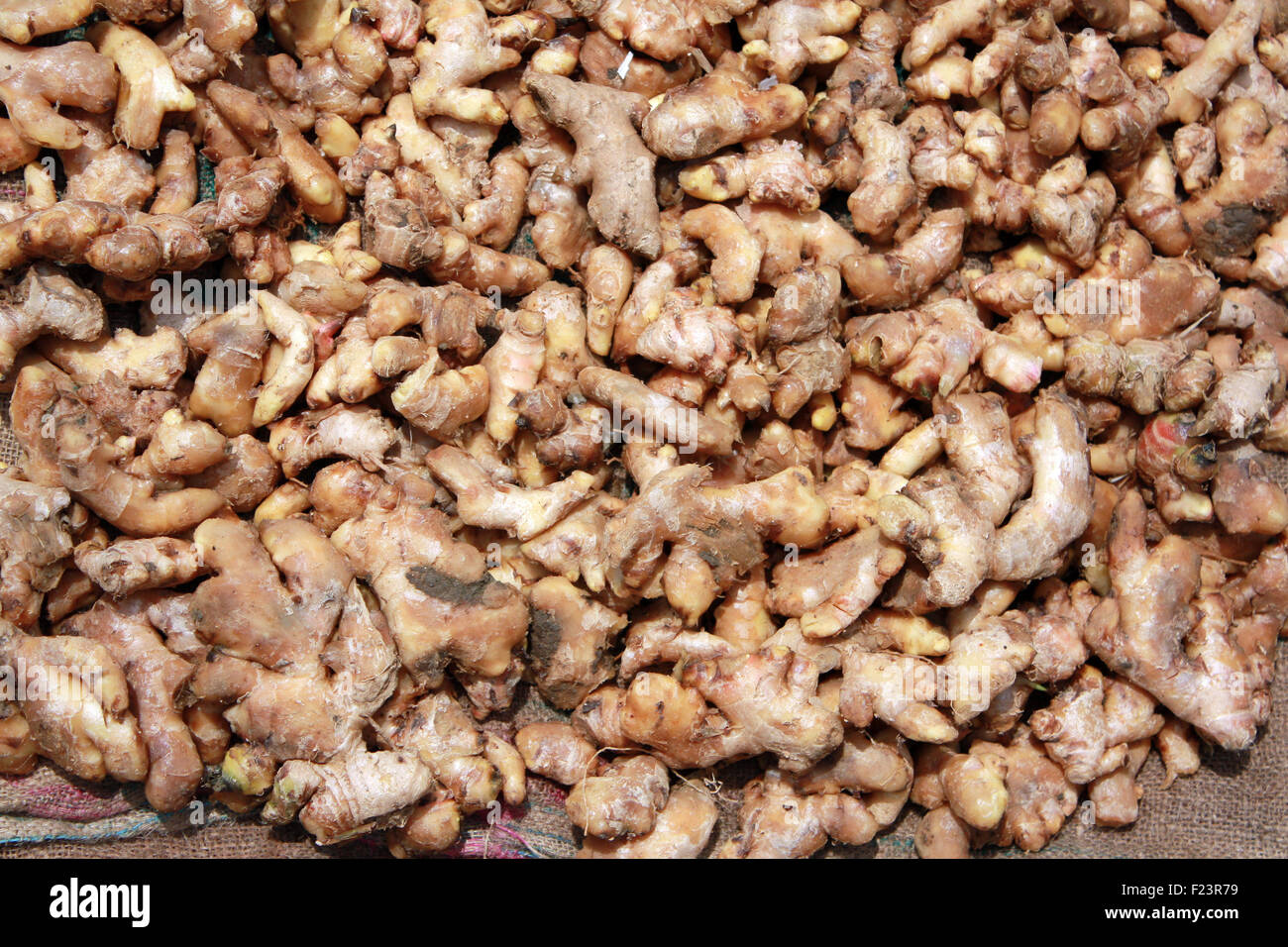 Indian ginger hi-res stock photography and images - Alamy