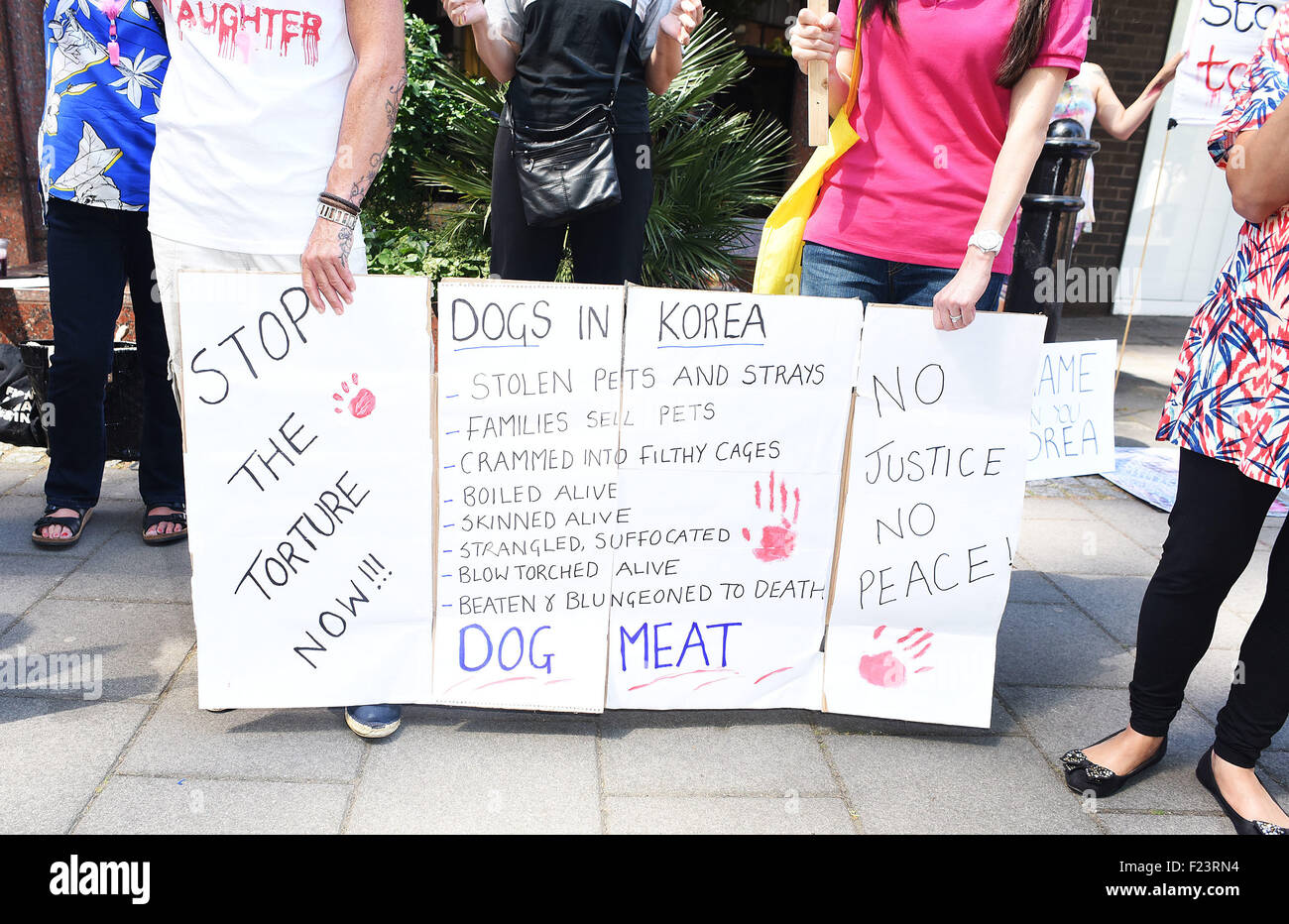 K9 Angels Pola Pospieszalska and Victoria Eisermann attend the Stop The ...