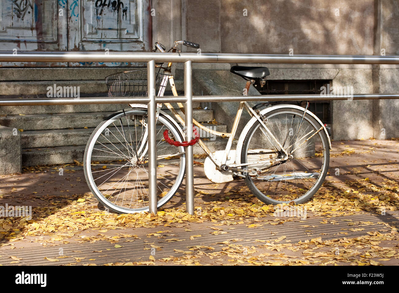 Bike parking on the dried leaves carpet Stock Photo - Alamy