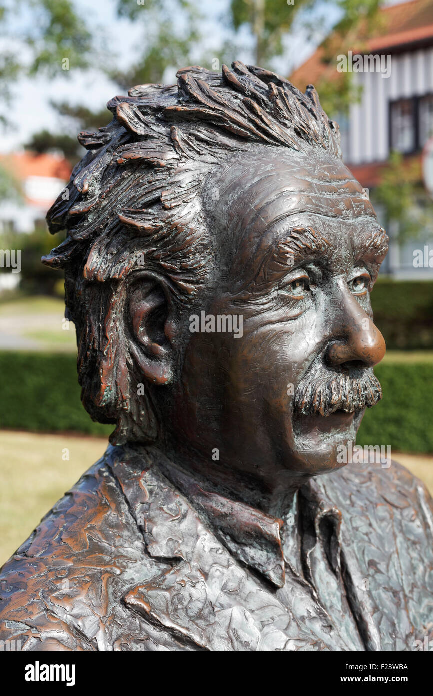 Albert Einstein, bronze sculpture by the Belgian sculptor Johnny ...