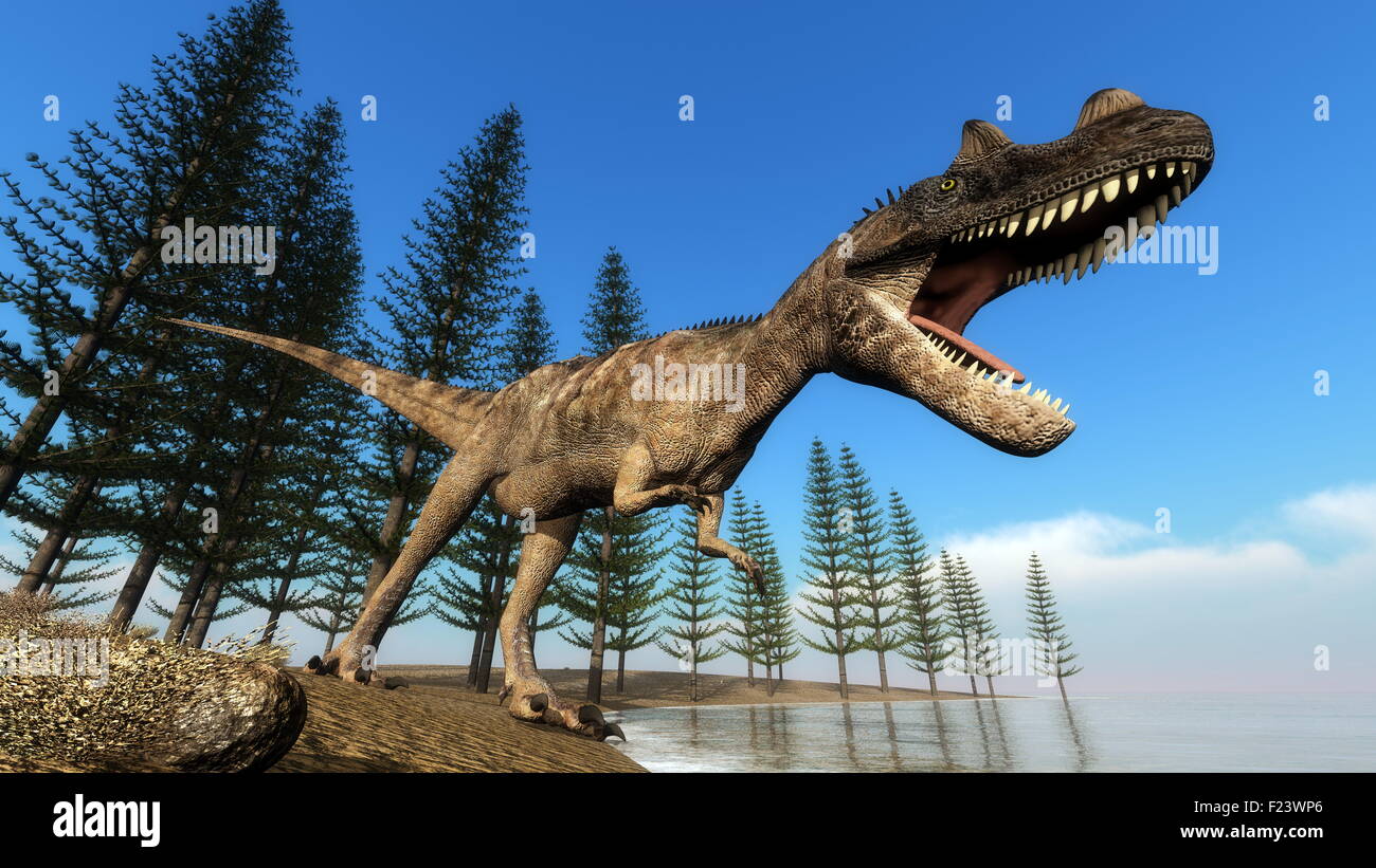 Calamite hi-res stock photography and images - Alamy