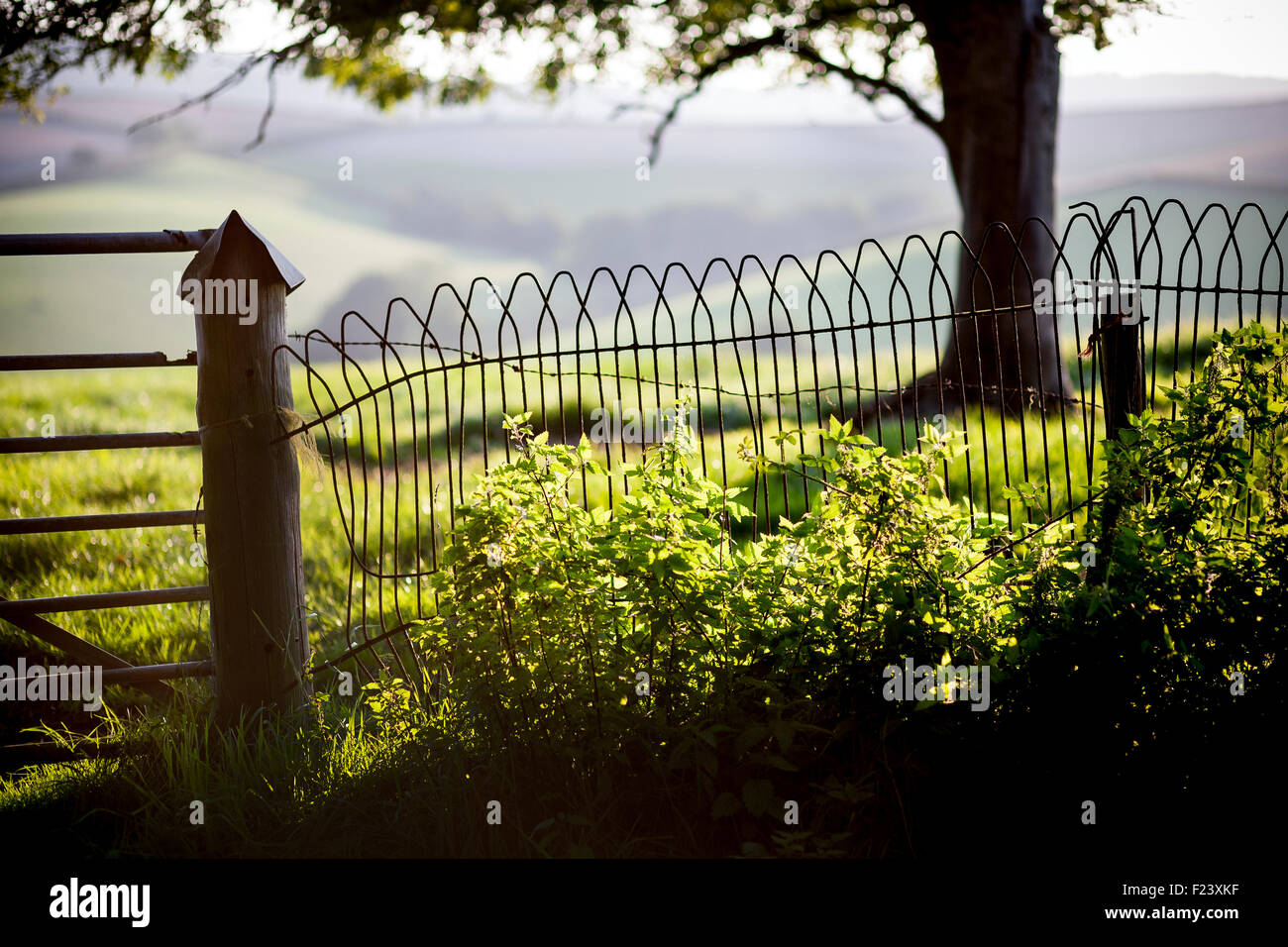 Gate post and fence in devon fields near Dunsford,Teign Valley,Dunsford ...