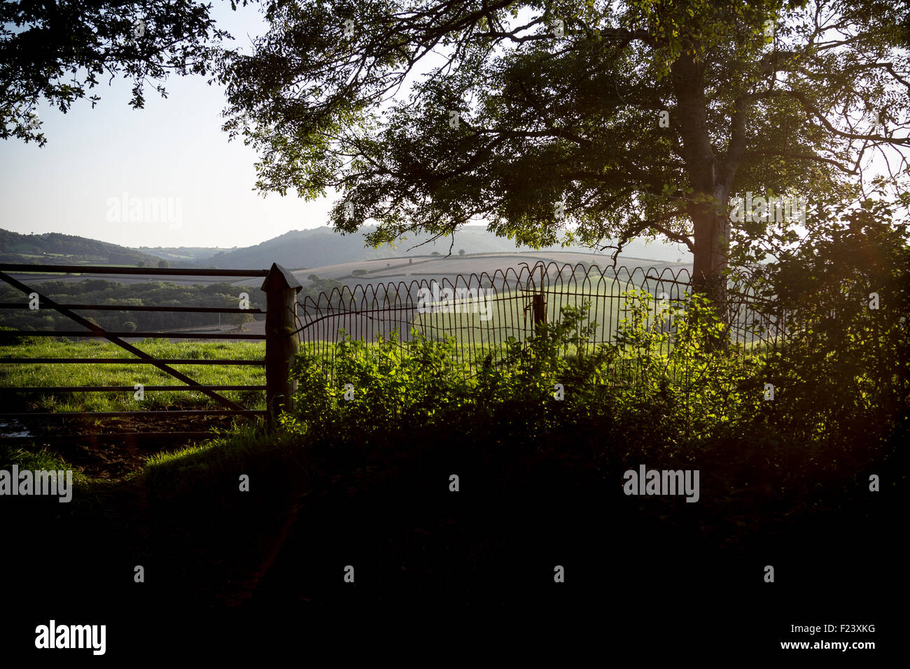 Gate post and fence in devon fields near Dunsford,Teign Valley,Dunsford ...