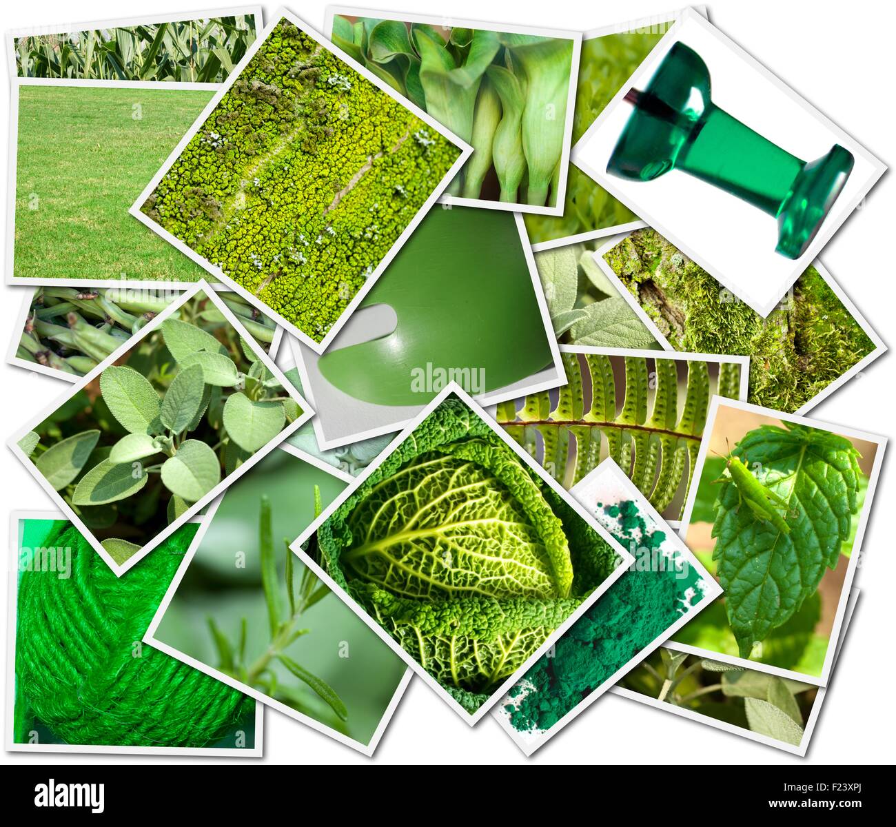Photo's collage with green objects Stock Photo - Alamy