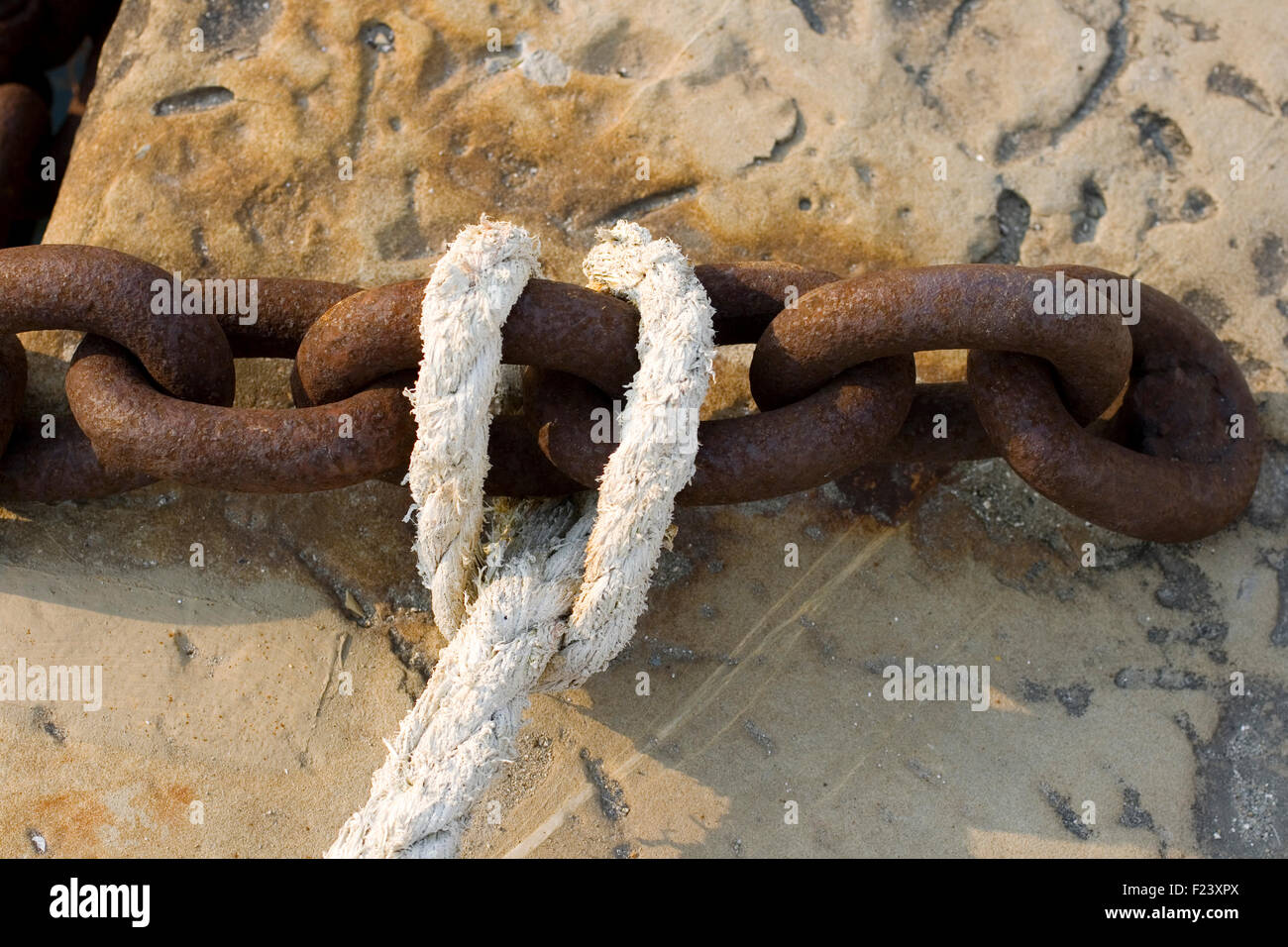 Teal node hi-res stock photography and images - Alamy