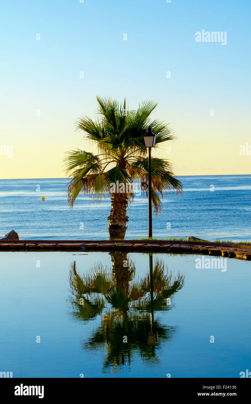 Sunrise on the beach in Spain and palms Stock Photo - Alamy