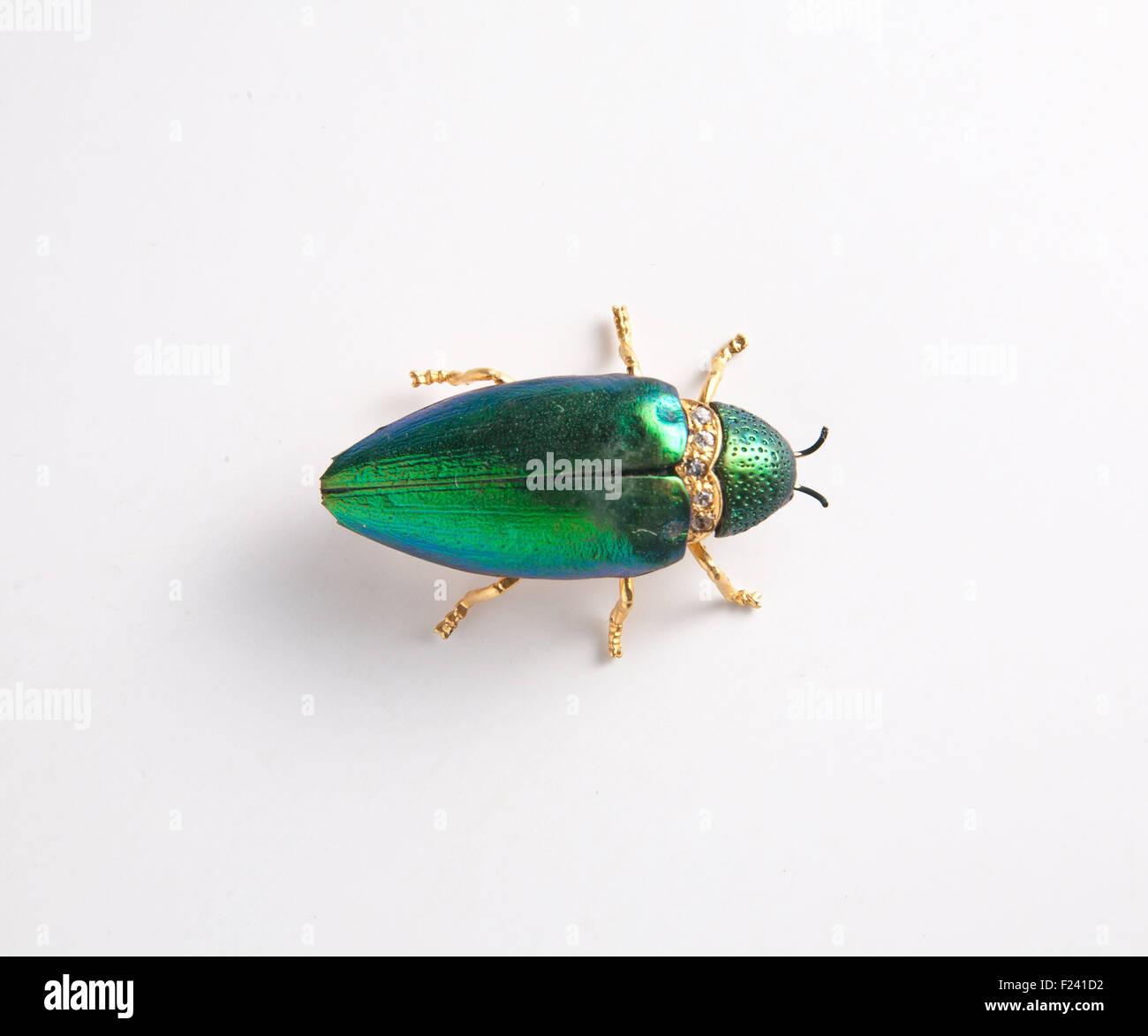Ruby color of insect wings hard Stock Photo - Alamy