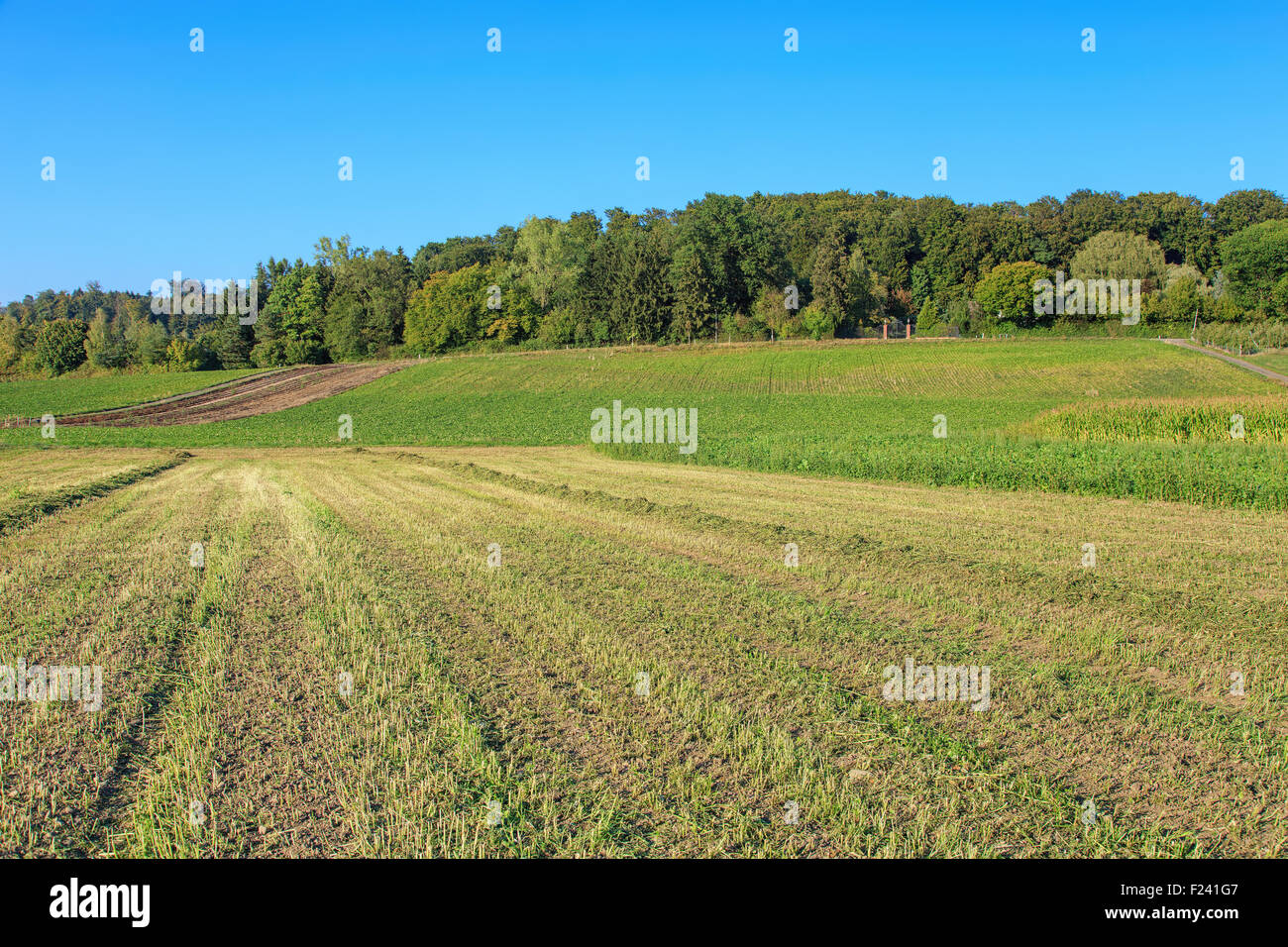 Countryside in Switzerland in the beginning of autumn Stock Photo - Alamy
