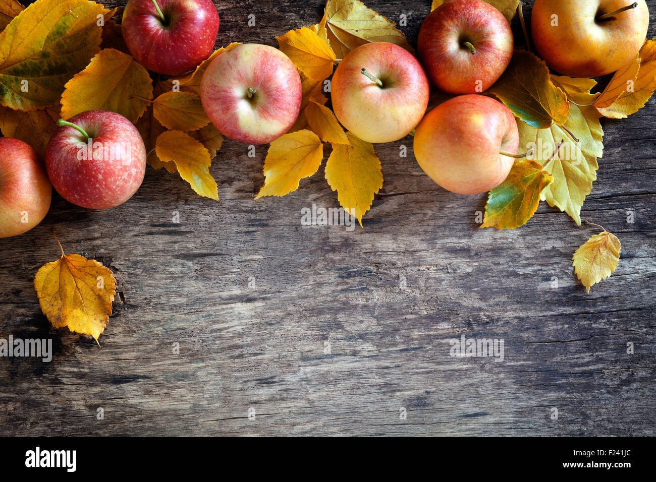 Close up photograph of a colorful fall backdrop Stock Photo - Alamy