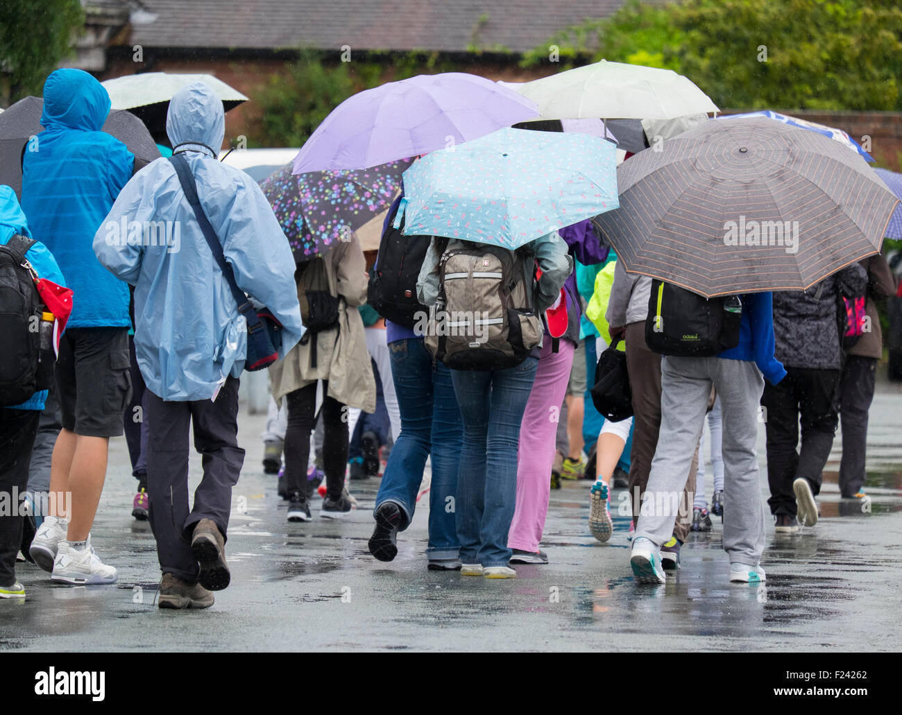 Tourists under umbrellas in pouring rain while visiting Shrewsbury ...