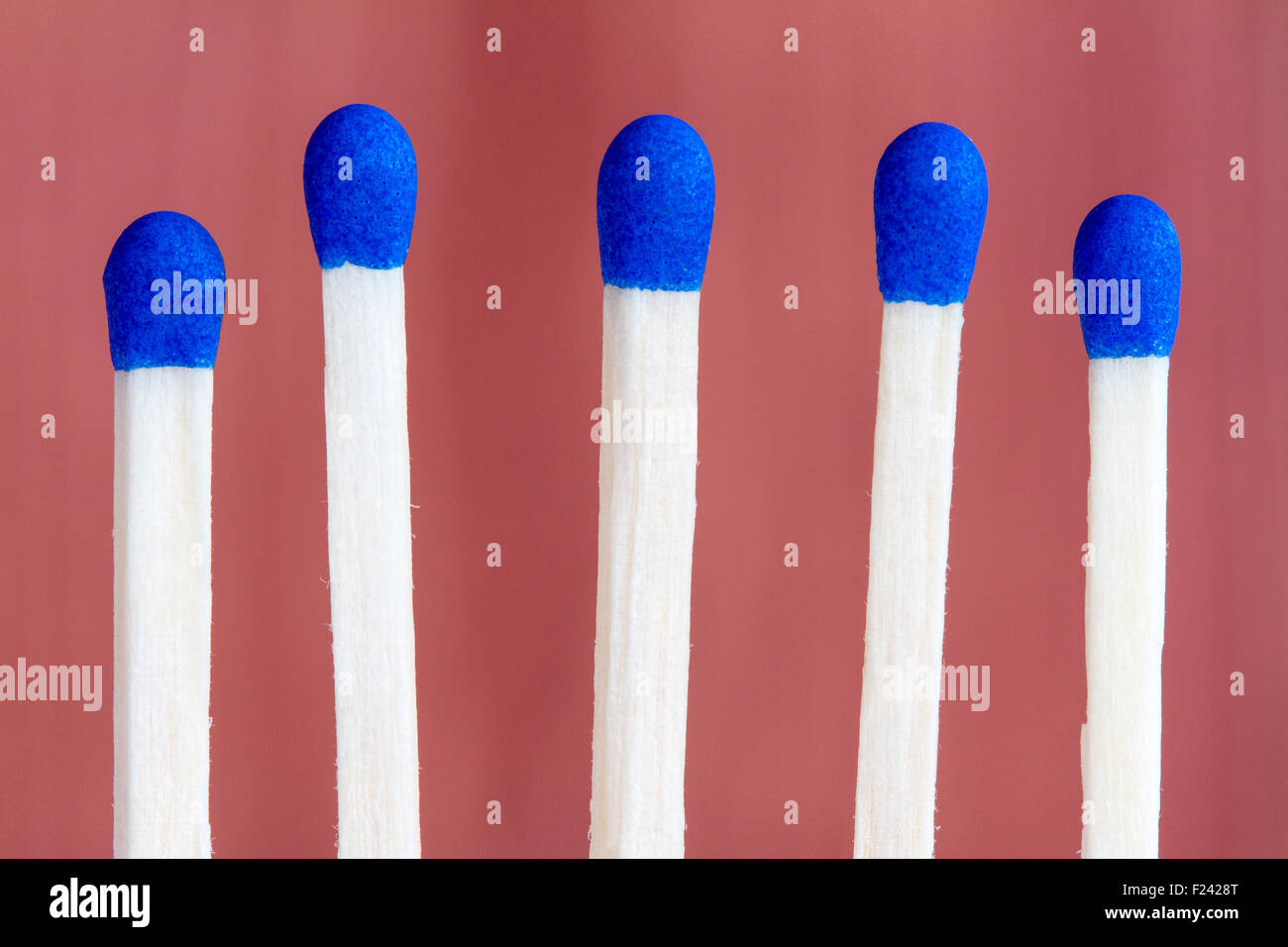 Row of match sticks with blue heads Stock Photo - Alamy