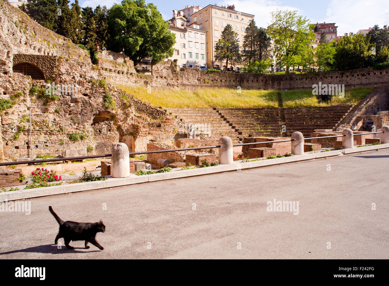 Roman Theater in Trieste, Italy Stock Photo - Alamy