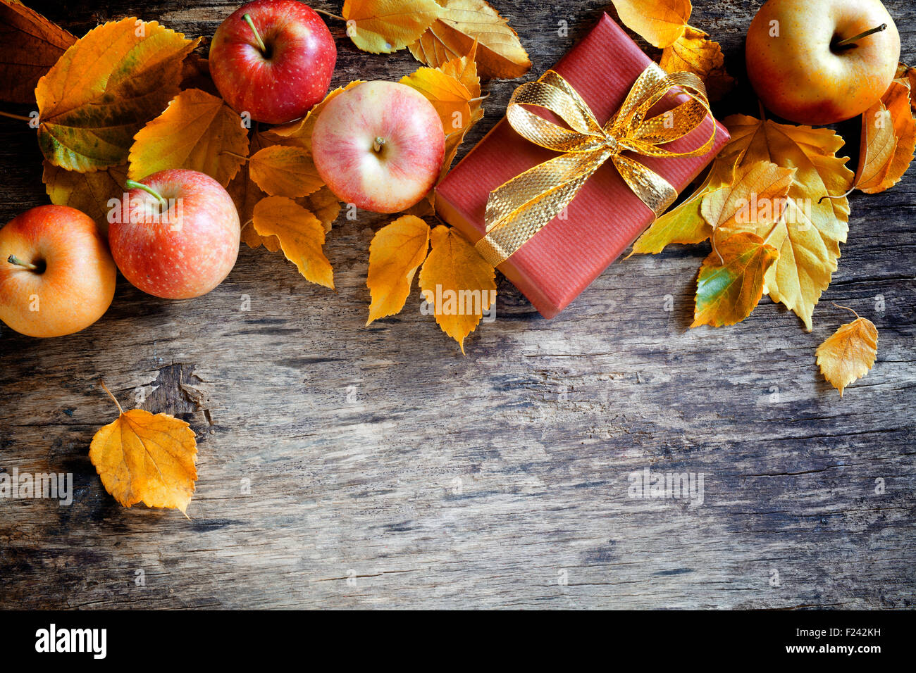 Close up photograph of a colorful fall backdrop Stock Photo - Alamy