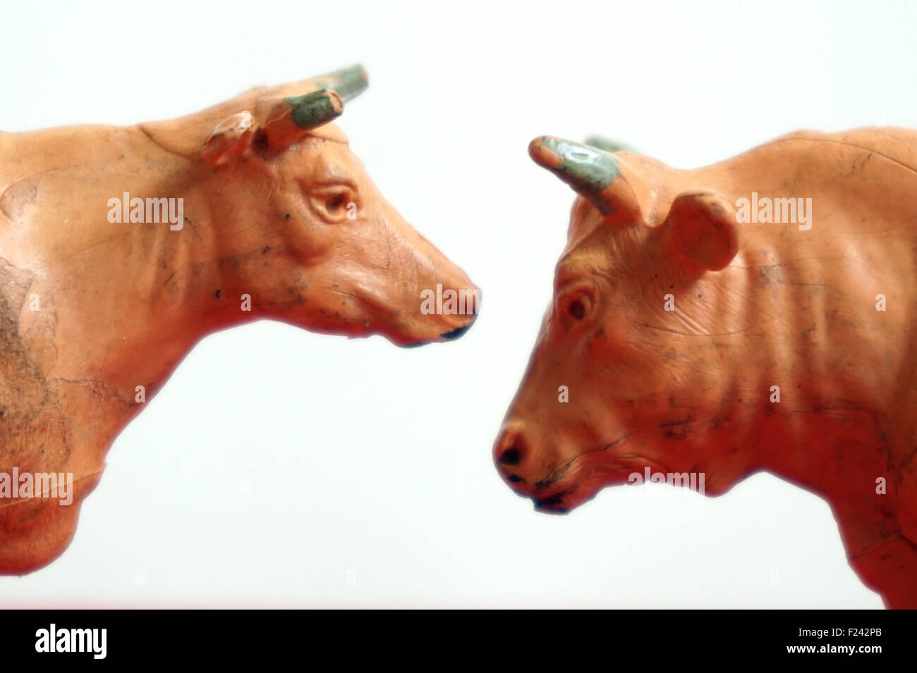 Toy farm animals - beef bull and cow Stock Photo - Alamy